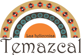 Sanación, relajación y una experiencia espiritual - Temazcal Las ...